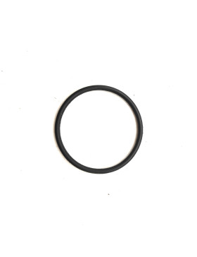 O-Ring Spark Plug Container LJA00001 Triumph Speed 400 / Scrambler 400