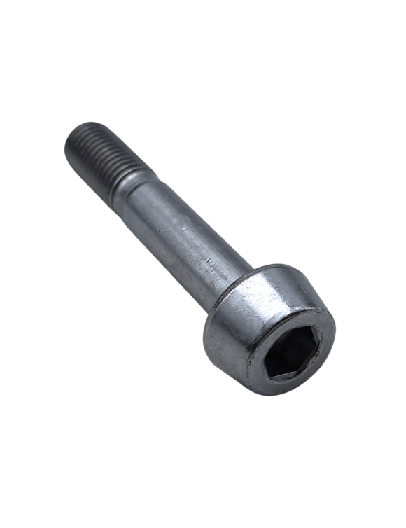 Tornillo de Cabeza Hexagonal Hueca, M10 x 55 - Original Triumph