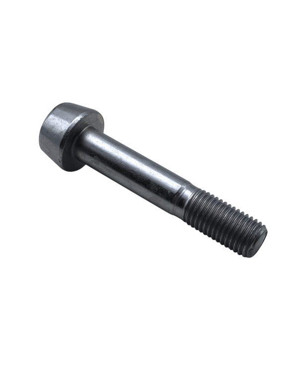 Tornillo de Cabeza Hexagonal Hueca, M10 x 55 - Original Triumph