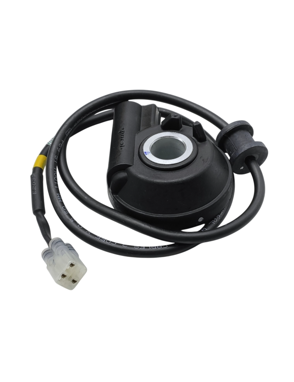Sensore Velocità Originale 594238/B Royal Enfield Conti GT 535-650 ...